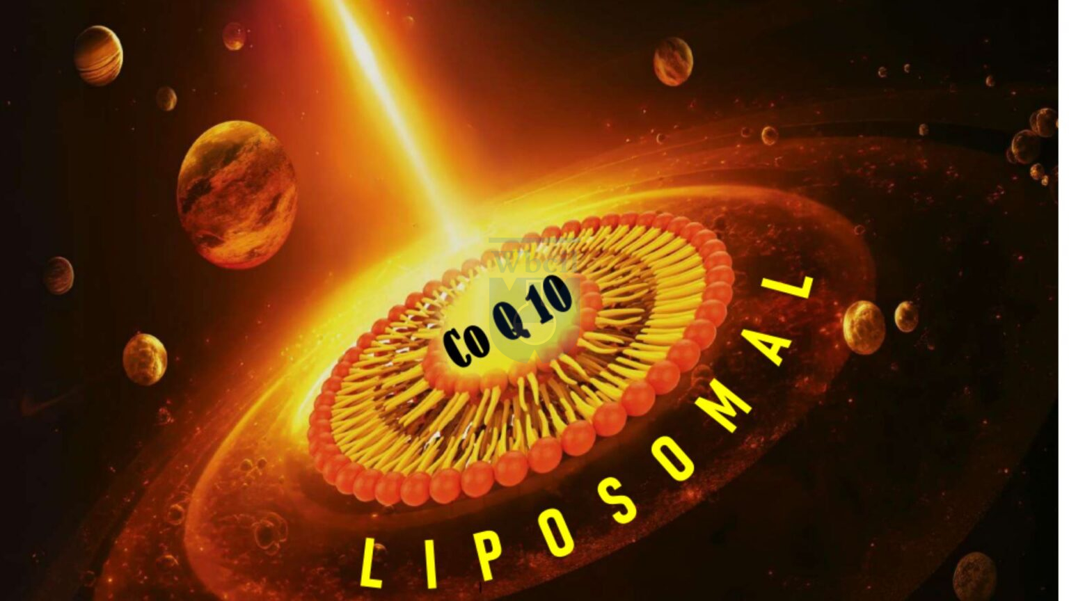Dynamic Light Scattering for CoQ10 Absorption